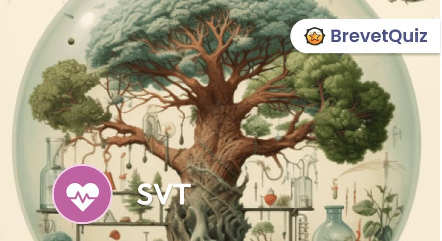 Meilleurs quiz QCM de SVT – Brevet 2025